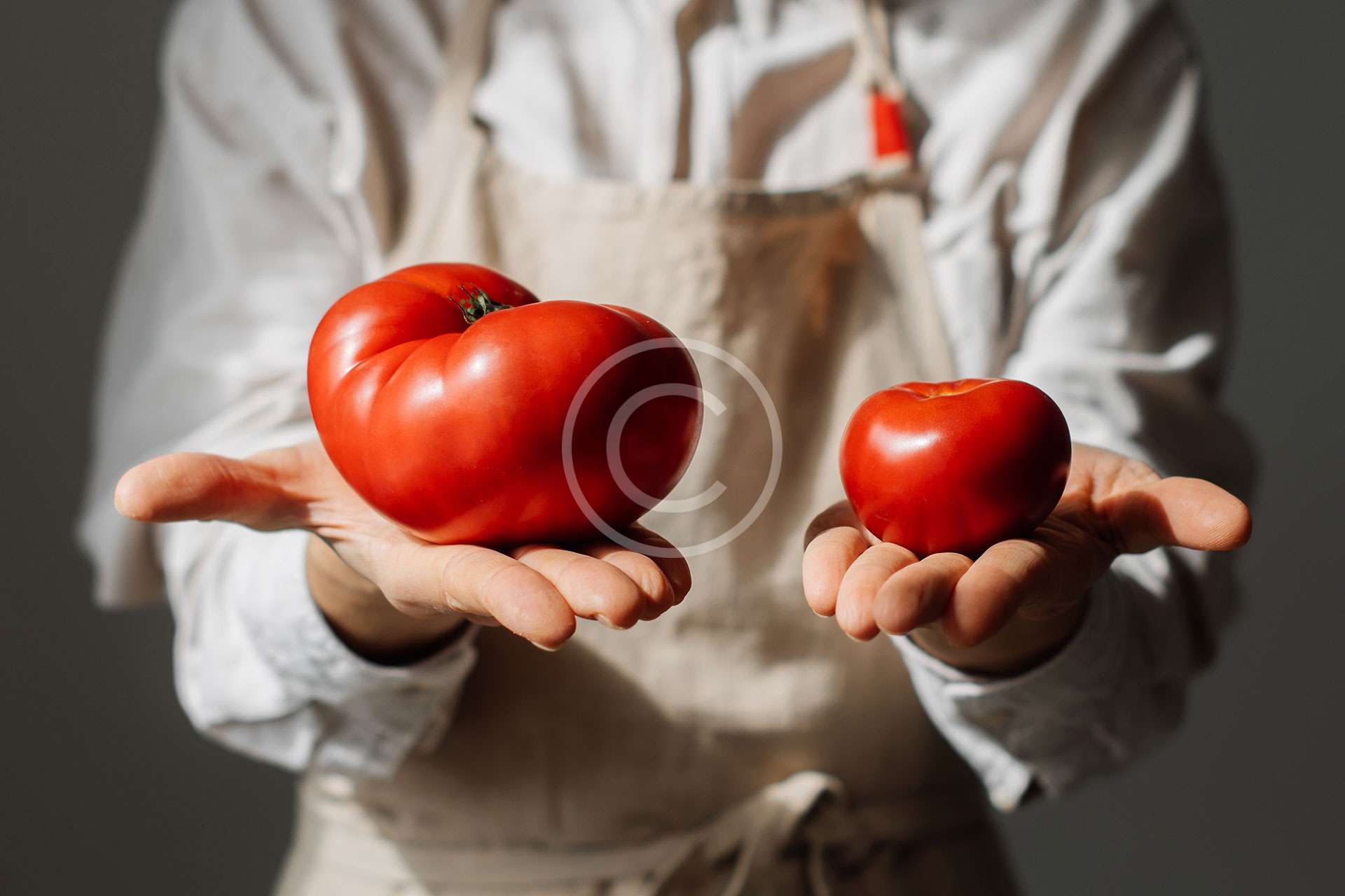 Make Weather Stations Your Faithful Companions - Braiin